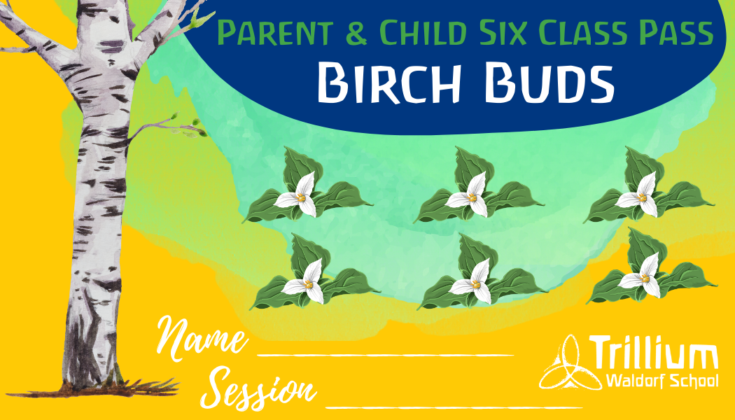 Trillium Waldorf School - Parent & Child - Birch Buds - 2023-24