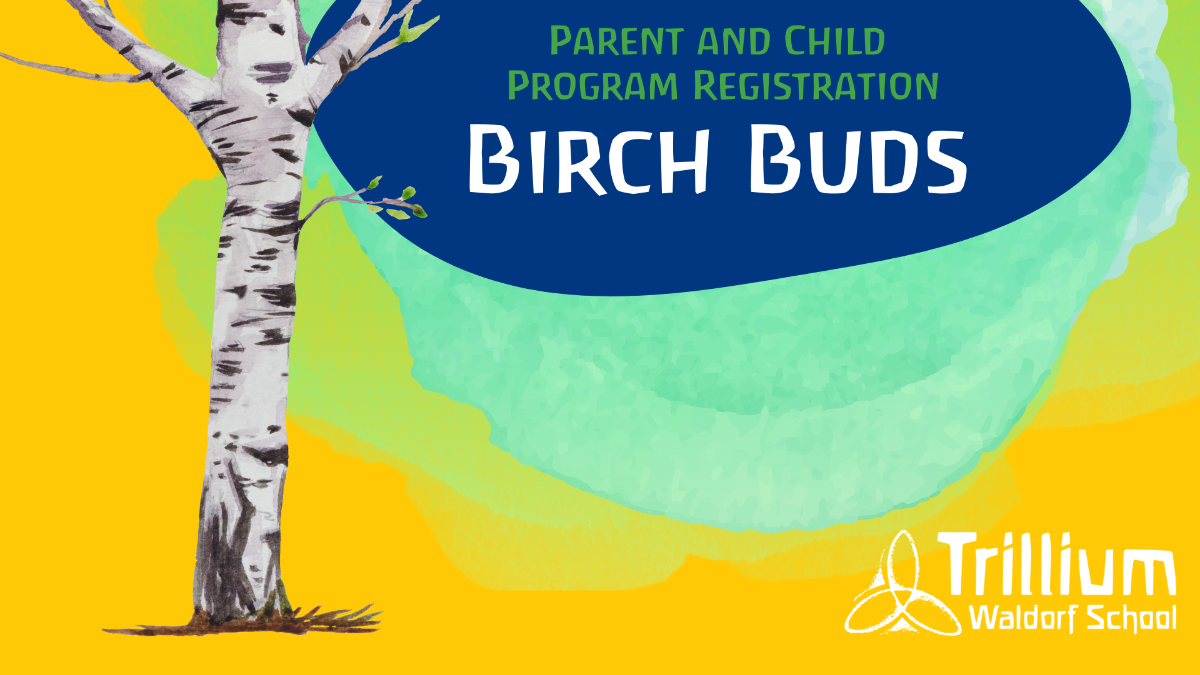 Trillium Waldorf School - Parent & Child - Birch Buds - 2023-24